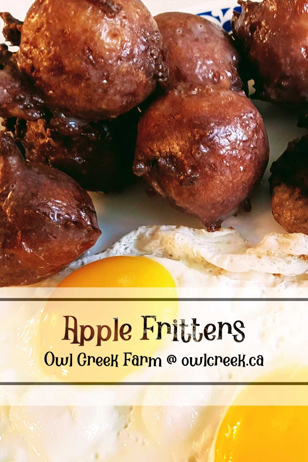 Our Favourite Apple Fritters Recipe by Owl Creek Farm