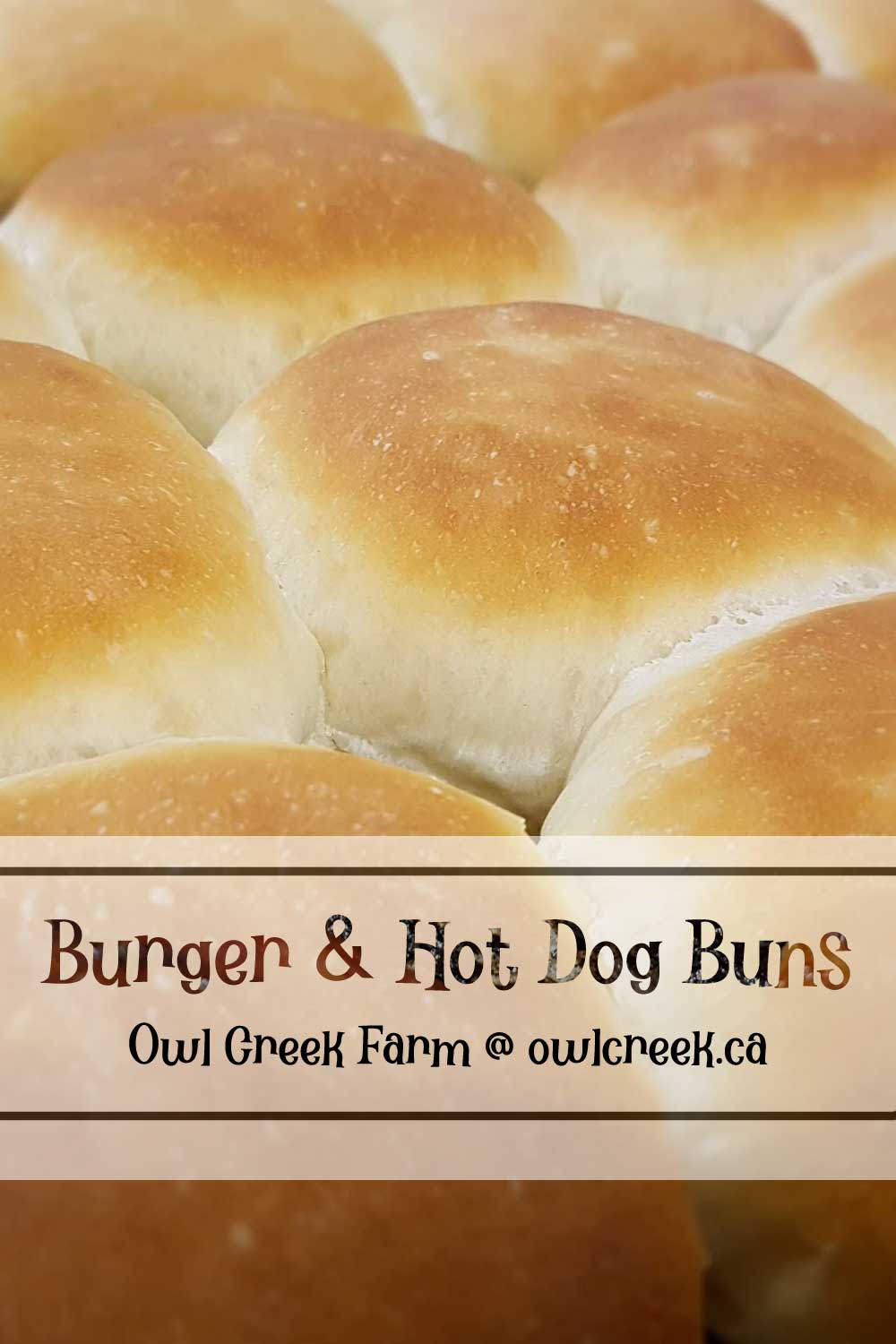Burger & Hot Dog Buns Recipe by Owl Creek Farm