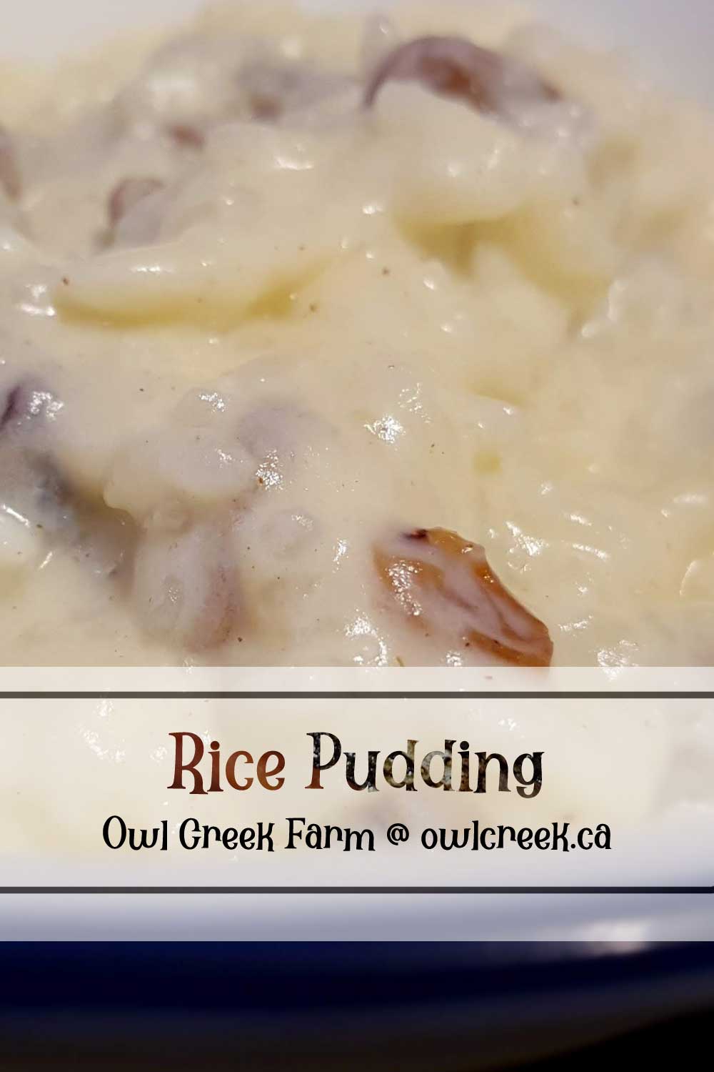 Old Fashioned Old Fashioned Rice Pudding - Recipe by Owl Creek Farm